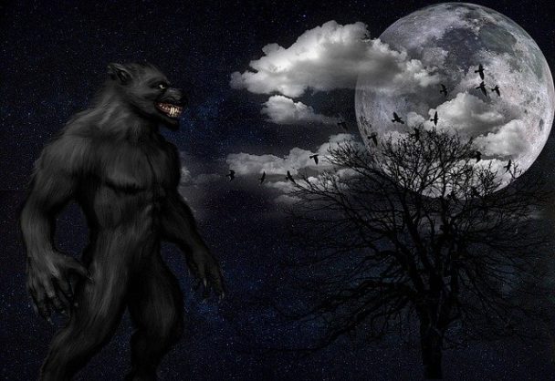 Werewolf remains found by Bulgarian farmer – Slavorum