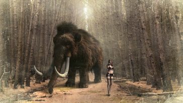 The smoking gun ‘proving ancient man killed woolly mammoth 45,000 years ...