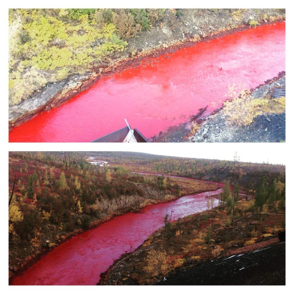 Daldykan River Turns Bloody Red While Siberian Locals are Frightened ...