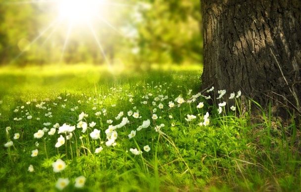 Spring Holidays In Slavic Culture Are The Most Important Time Of The ...